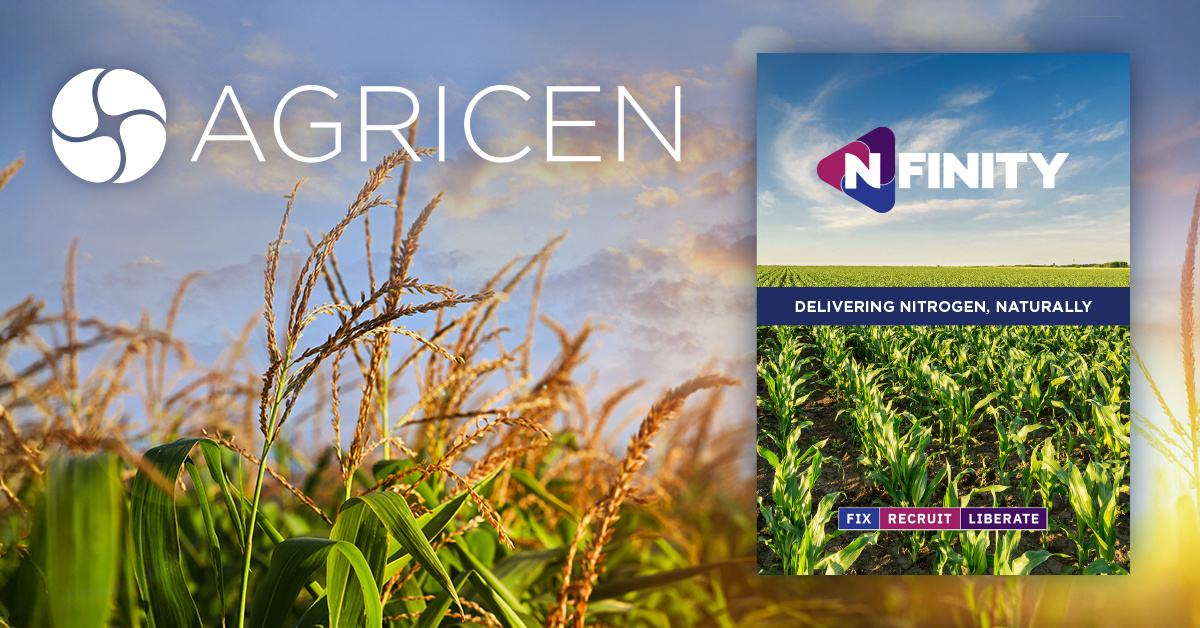 N-FINITY | Nitrogen Availability | Nitrogen Use Efficiency