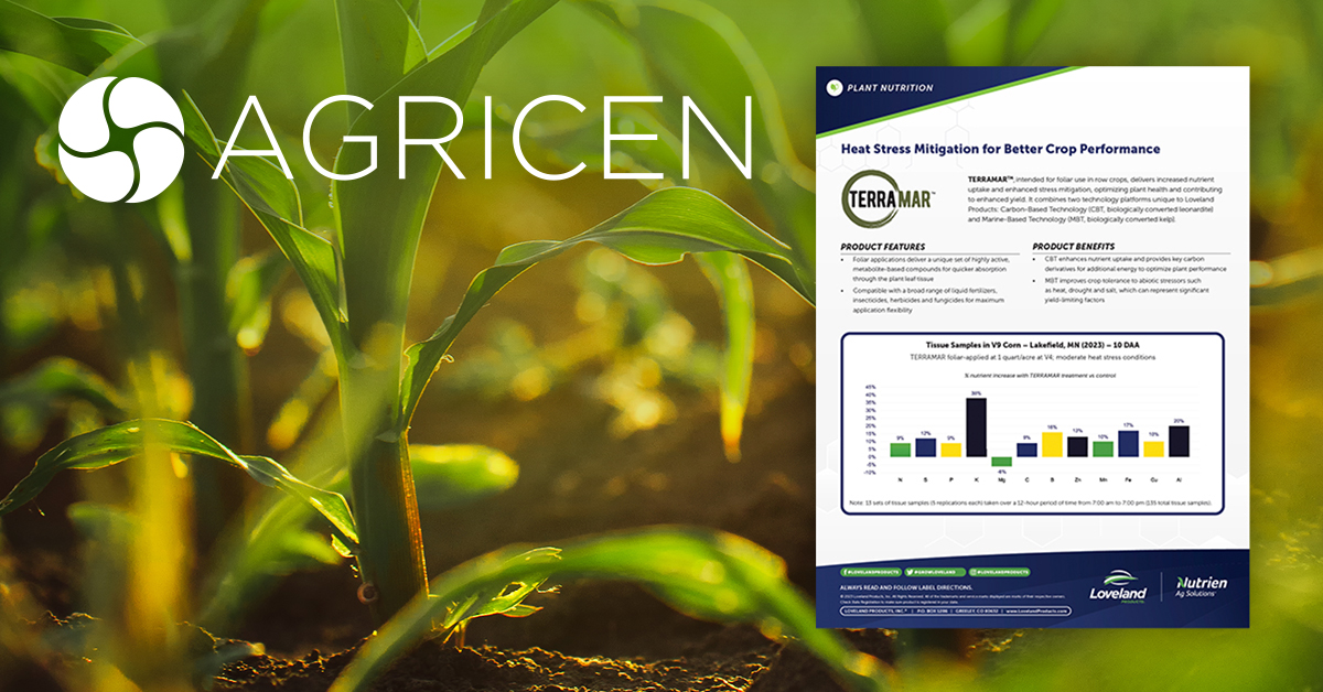TERRAMAR | Heat Stress Tolerance | Minnesota Corn Study